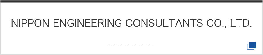 Business Overview│DN Holdings